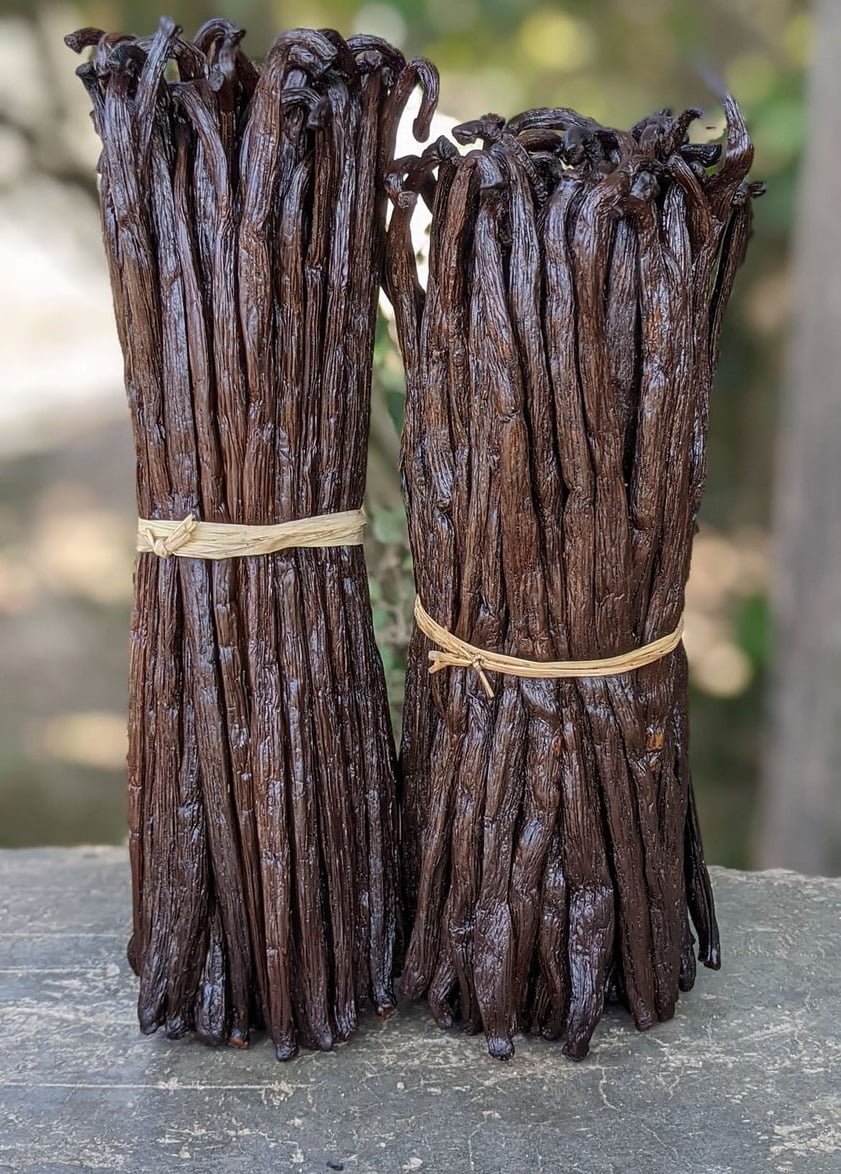 Vanille De Madagascar - Vanillanice: Bulk Madagascar Vanilla Beans